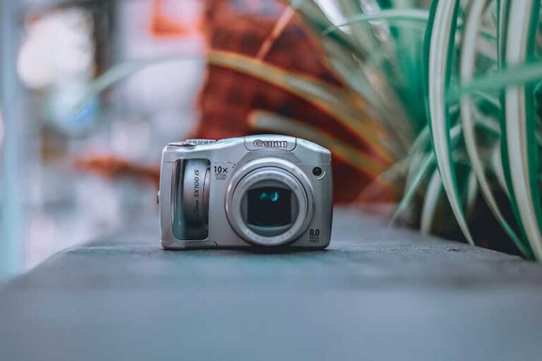 ZOOM in Photography (Optical & Digital) EXPLAINED - PhotographyAxis