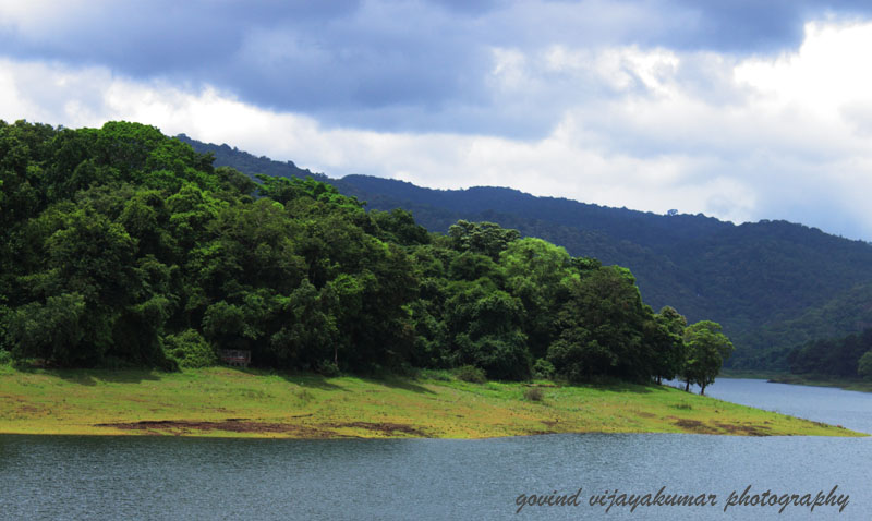 Understanding Aperture - A Beginners Guide in Photography