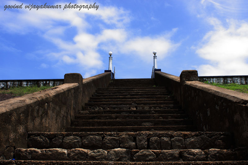 Understanding Aperture - A Beginners Guide in Photography