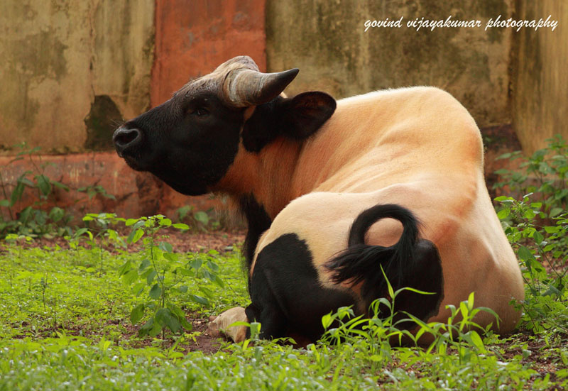 Understanding Aperture - A Beginners Guide in Photography