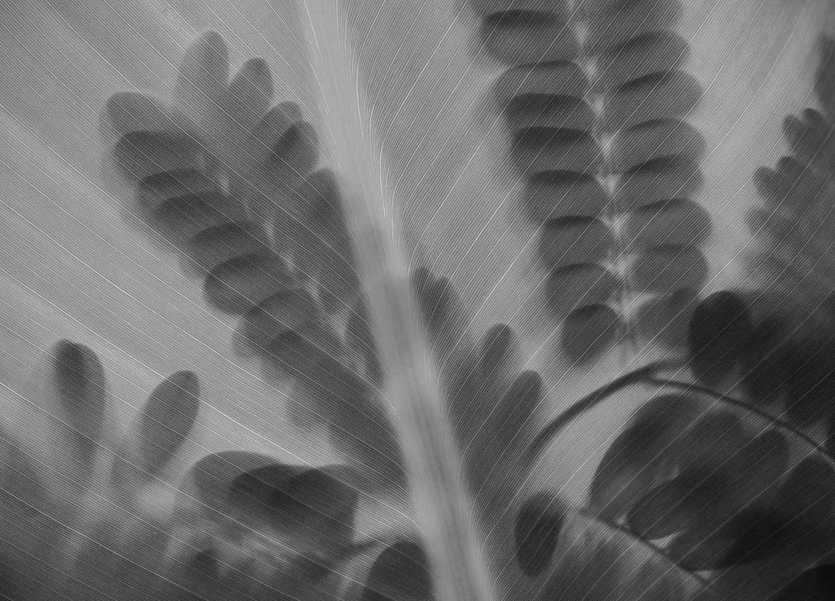 Black and White Photography Basics - PhotographyAxis