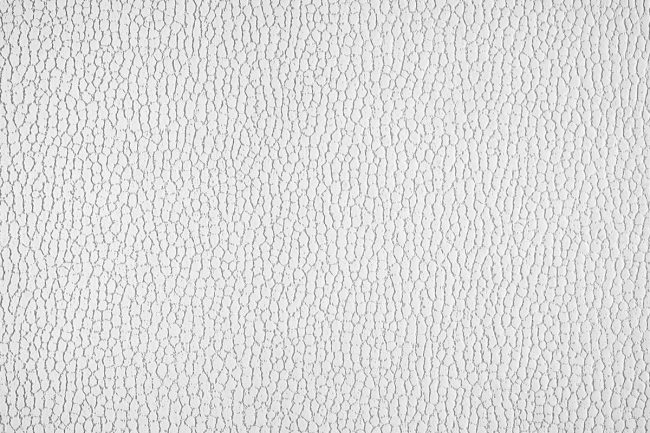 Black and White Photography Basics - PhotographyAxis