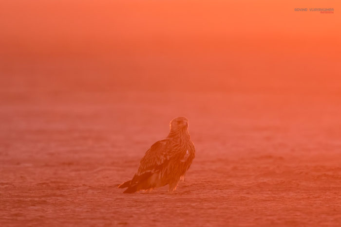 35 Best Sunset Photography Tips and Ideas - PhotographyAxis