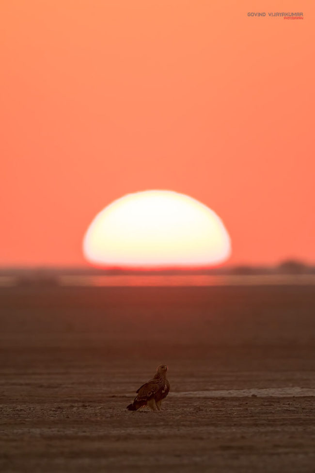 35 Best Sunset Photography Tips and Ideas - PhotographyAxis