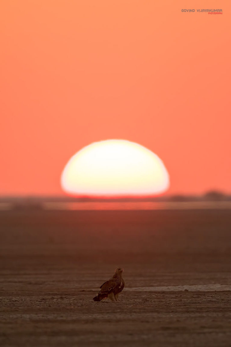 35 Best Sunset Photography Tips and Ideas - PhotographyAxis