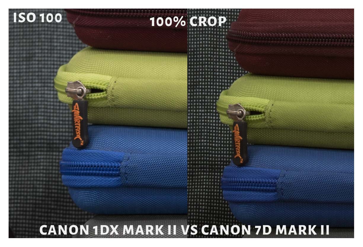 ISO Battle - Canon 1DX Mark II Vs Canon 7D Mark II - PhotographyAxis