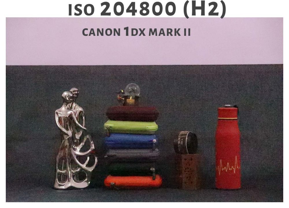 ISO Battle - Canon 1DX Mark II Vs Canon 7D Mark II - PhotographyAxis