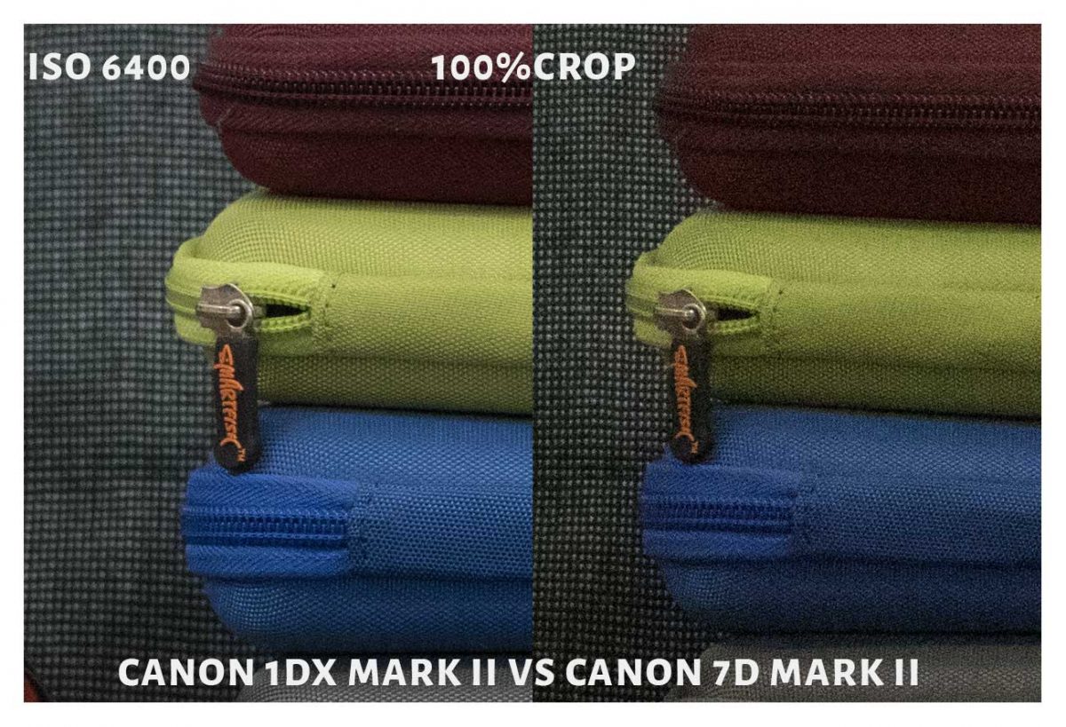 ISO Battle - Canon 1DX Mark II Vs Canon 7D Mark II - PhotographyAxis