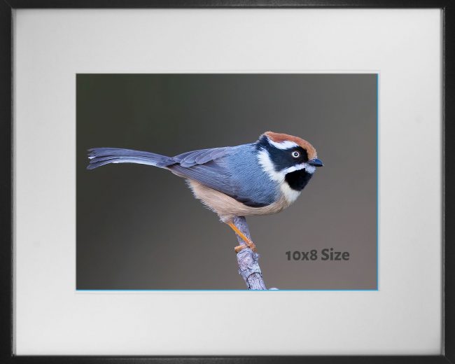 Standard Photo Sizes Explained - PhotographyAxis