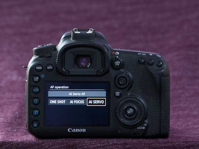 Understanding Camera Focusing Modes - PhotographyAxis