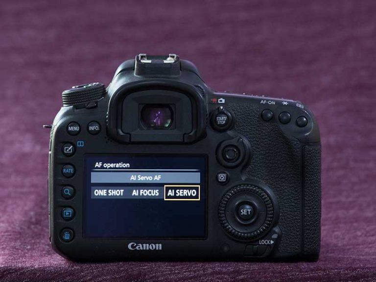 Understanding Camera Focusing Modes - PhotographyAxis