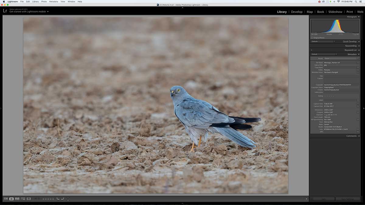 What is EXIF Data ? - PhotographyAxis