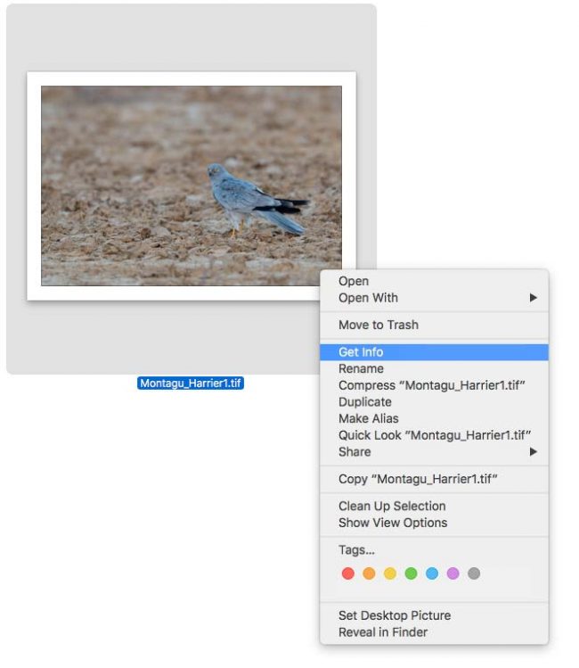 What is EXIF Data ? - PhotographyAxis