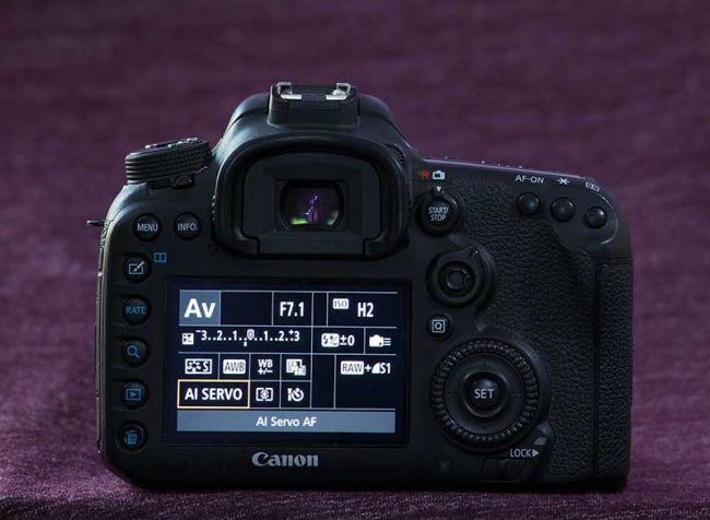 Understanding Camera Focusing Modes - PhotographyAxis