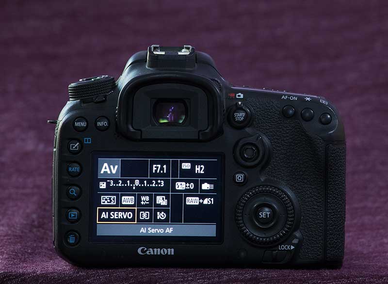 Understanding Camera Focusing Modes - PhotographyAxis