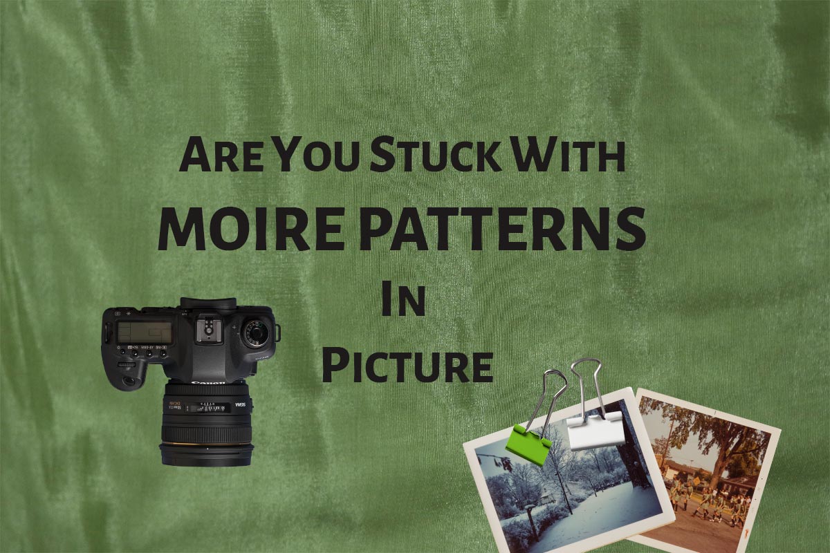 What Is Moire PhotographyAxis what-is-moire-photographyaxis
