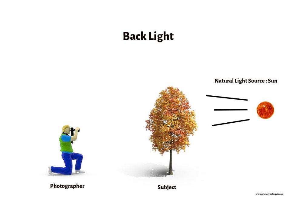 11 Types of Natural Light in Photography - PhotographyAxis