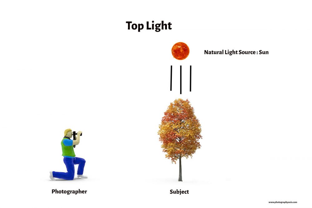 11 Types of Natural Light in Photography - PhotographyAxis