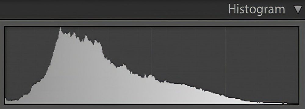 Understanding Camera Histogram - PhotographyAxis