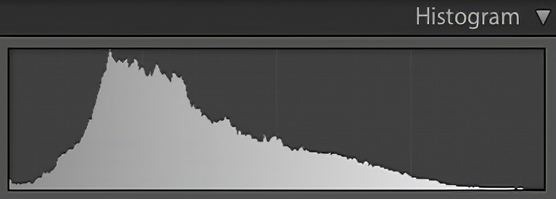 Understanding Camera Histogram - PhotographyAxis