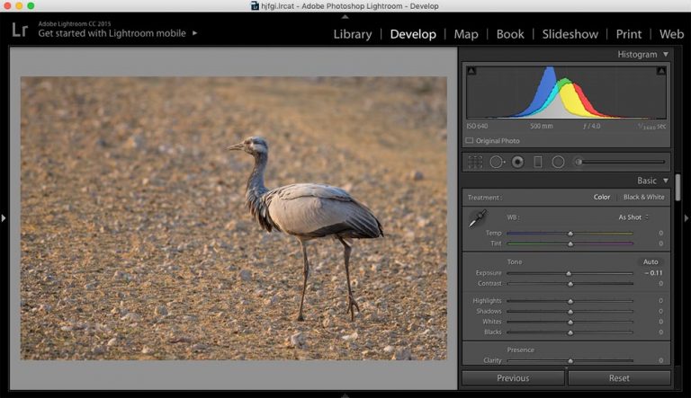 Understanding Camera Histogram - PhotographyAxis