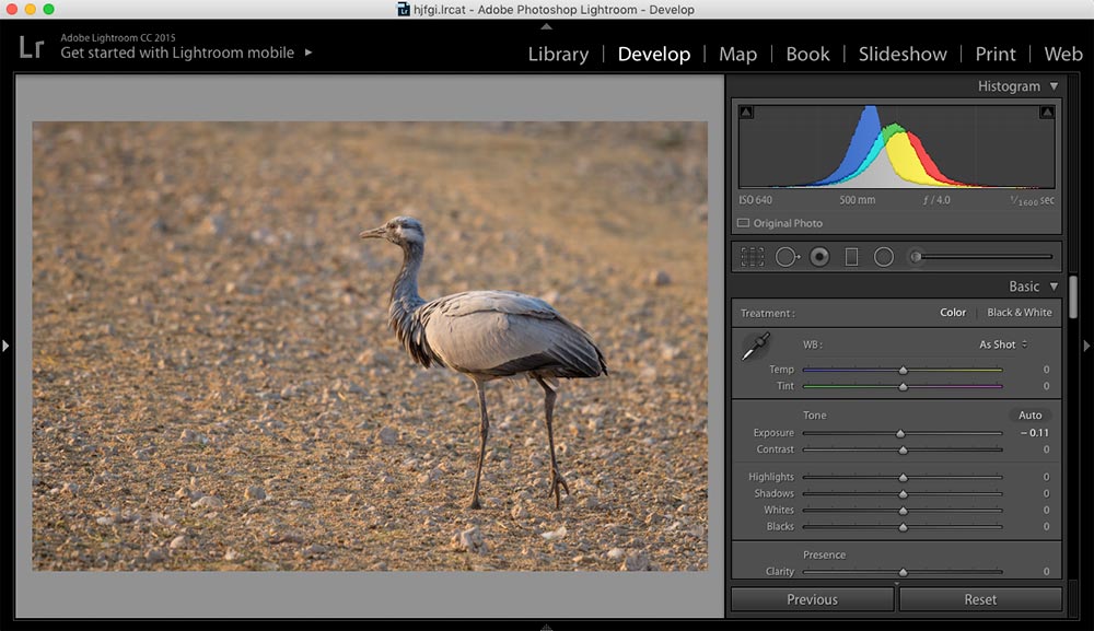 Understanding Camera Histogram - PhotographyAxis