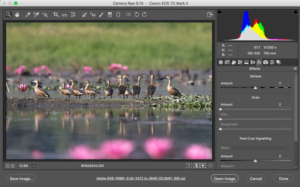 Understanding Camera Histogram - PhotographyAxis