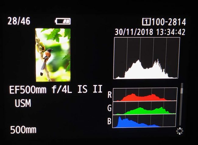 Understanding Camera Histogram - PhotographyAxis