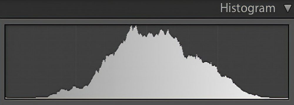 Understanding Camera Histogram - PhotographyAxis