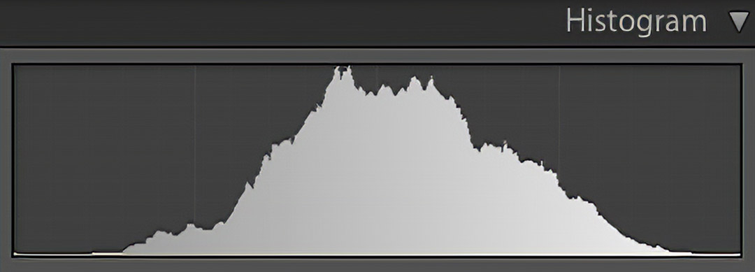 Understanding Camera Histogram - PhotographyAxis