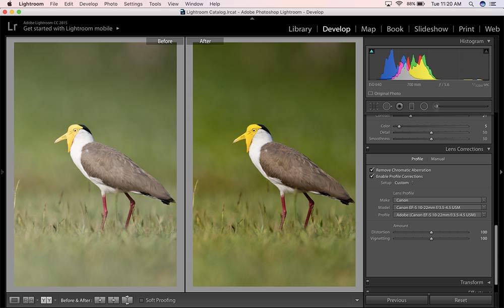 Lightroom Before and After- Best Way to Use It - PhotographyAxis