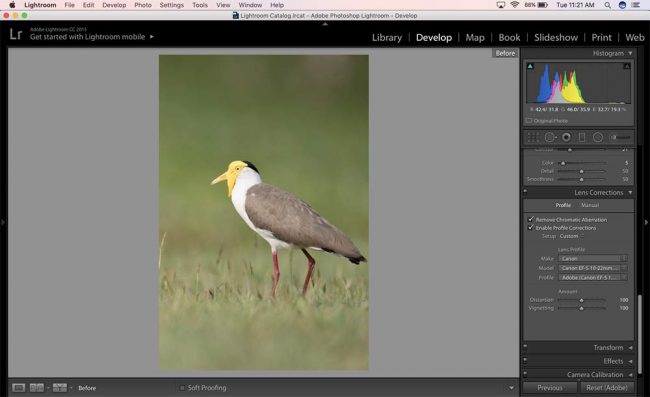 Lightroom Before and After- Best Way to Use It - PhotographyAxis