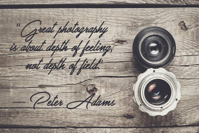 121 Inspirational Photography Quotes for Photographers - PhotographyAxis
