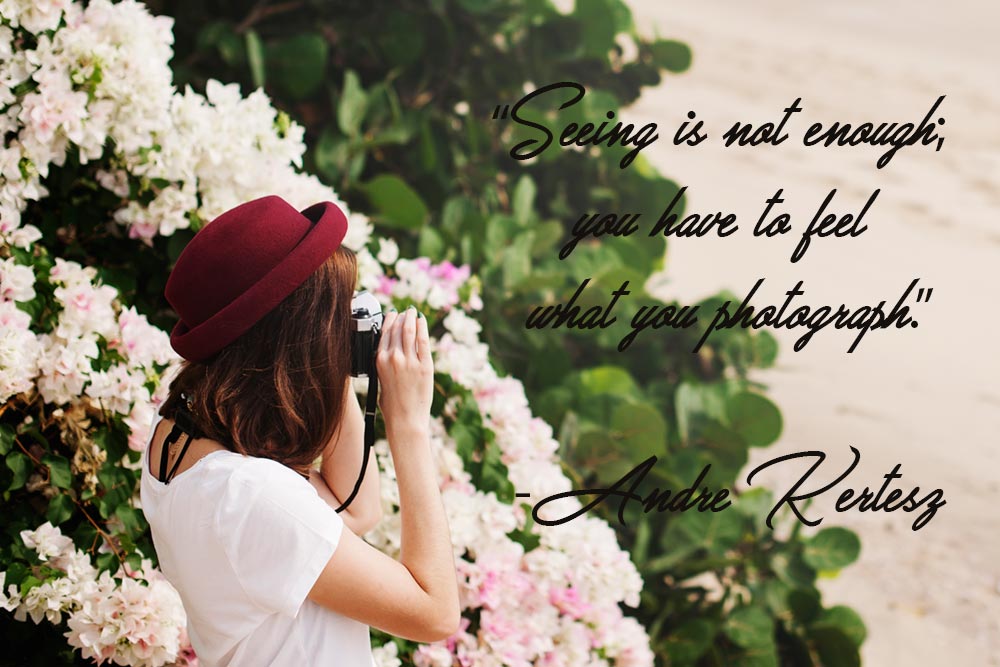 121 Inspirational Photography Quotes for Photographers - PhotographyAxis
