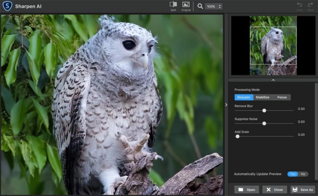 Topaz Sharpen AI Review- Does It Really Work? - PhotographyAxis