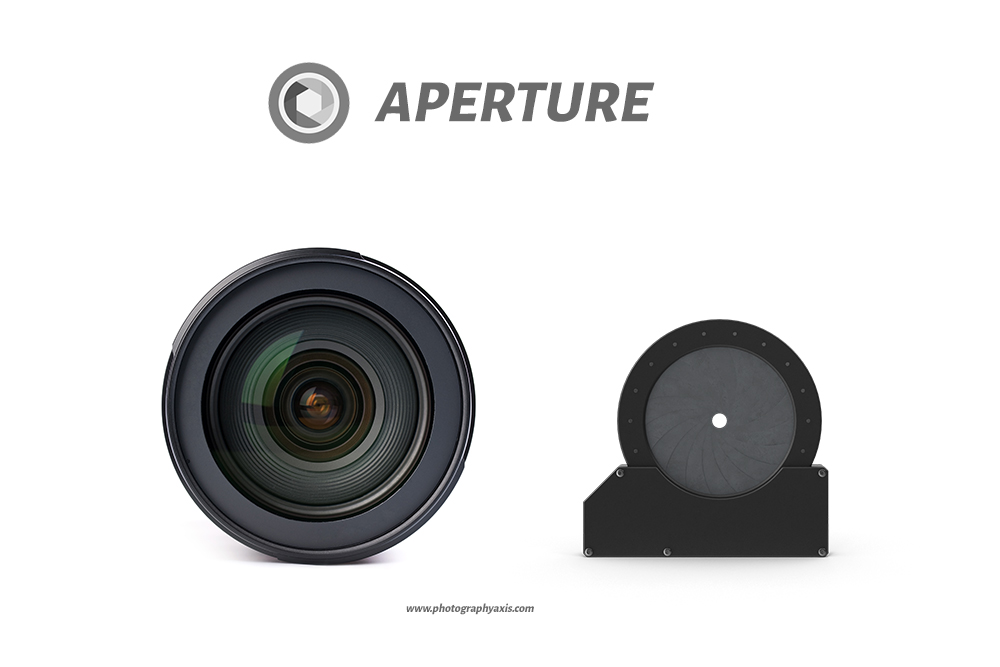 Photography Basics for Beginners- Ultimate Guide - PhotographyAxis