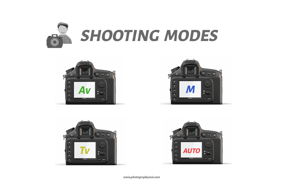 Photography Basics for Beginners- Ultimate Guide - PhotographyAxis