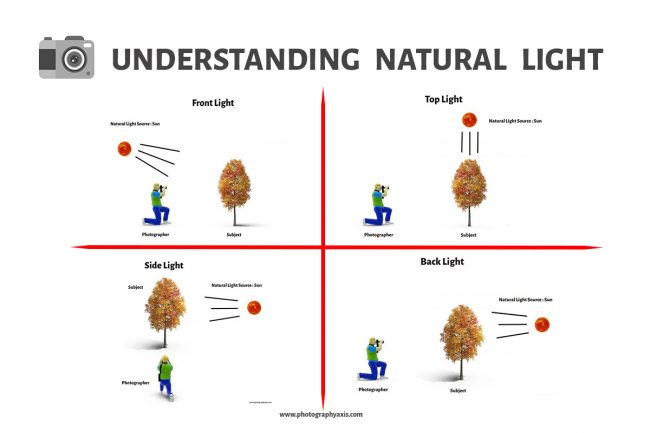 Photography Basics for Beginners- Ultimate Guide - PhotographyAxis