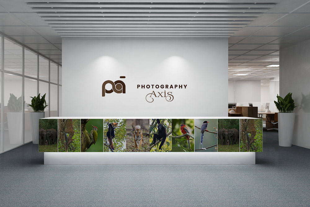 8 Stuffs for Branding Photography Business - PhotographyAxis