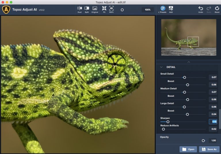 Topaz Adjust AI Review- Is it a Good Choice? - PhotographyAxis