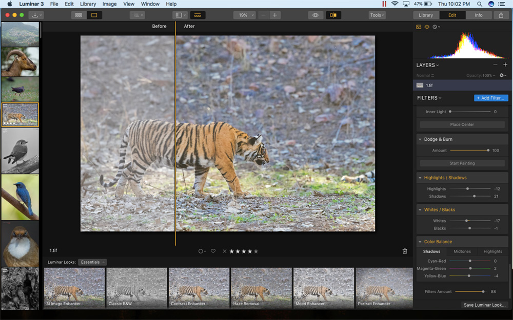 Luminar 3 Review- Is it a Good Lightroom Alternative? - PhotographyAxis