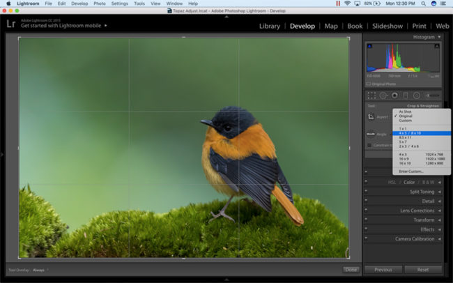 Best Lightroom Export Settings For Instagram 2024 - PhotographyAxis