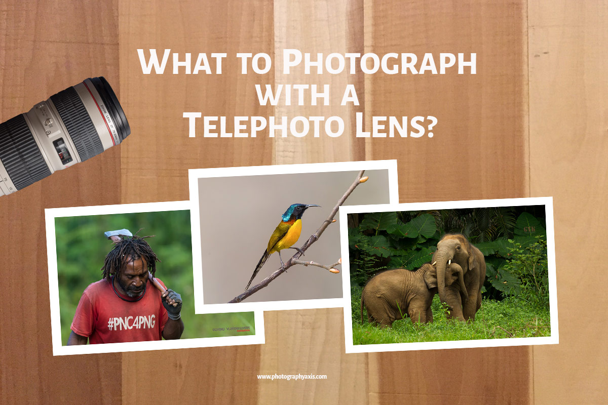 What to Photograph with a Telephoto Lens - PhotographyAxis