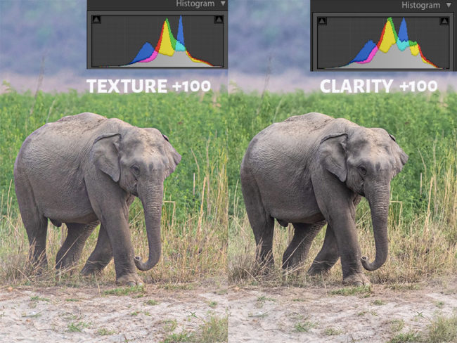 Texture Vs Clarity Vs DeHaze in Adobe Lightroom/ACR - PhotographyAxis
