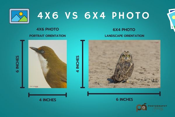 4x6 Inches Ra L Bao Nhi u Cm H y T m Hi u C ng Ch ng T i Ngay 