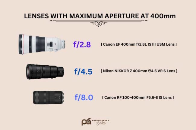 Is 400mm Enough for Wildlife & Bird Photography? - PhotographyAxis