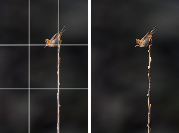 4x6 Vs 5x7 Which Photo Size Is Best PhotographyAxis