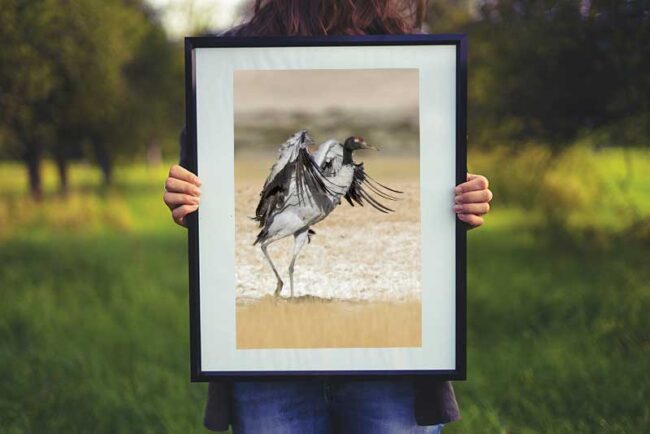 How Big is a 4×6 Photo?(Inch, cm, mm, Ft, Pixels) - PhotographyAxis