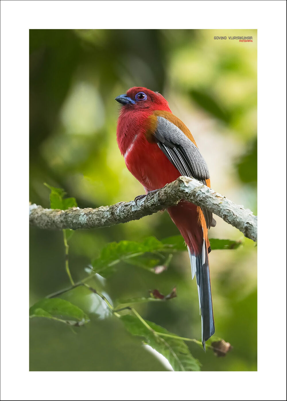 4x6 Vs 5x7 Which Photo Size Is Best PhotographyAxis