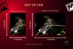 How Big is a 5×7 Photo? (mm, cm, Inch, Ft, Pixels) - PhotographyAxis